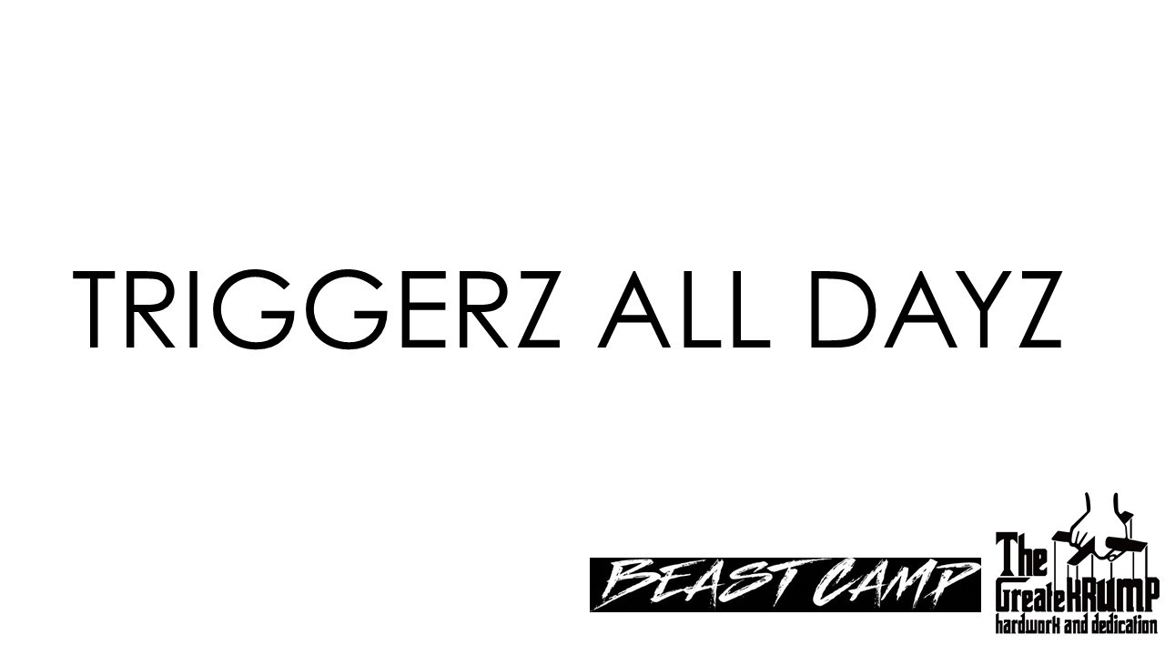 TRIGGERZ ALL DAYZ