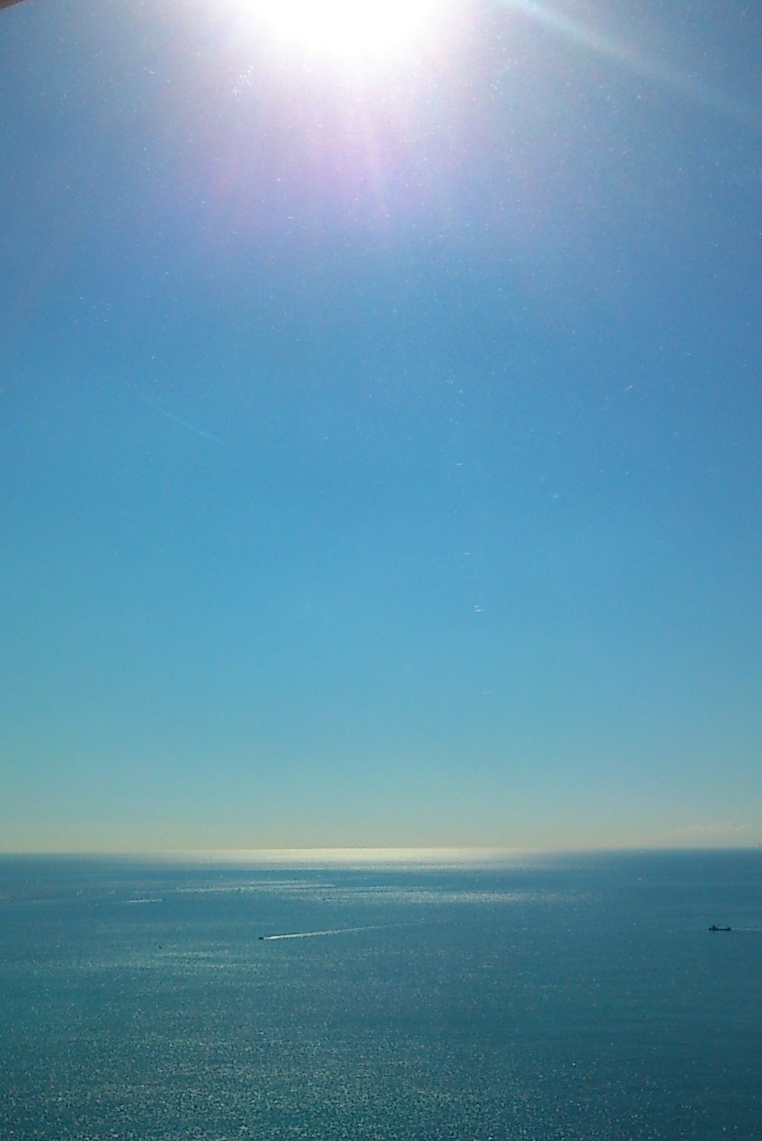 Vitnet始動! | Vitnet 硝子体手術総合ウェブサイト