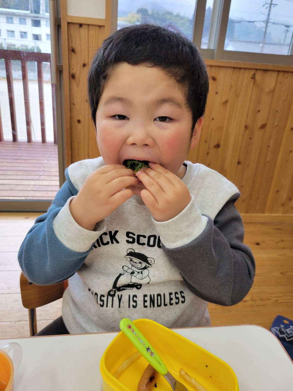 お弁当の日 未就学 | NPO法人 さんぽ