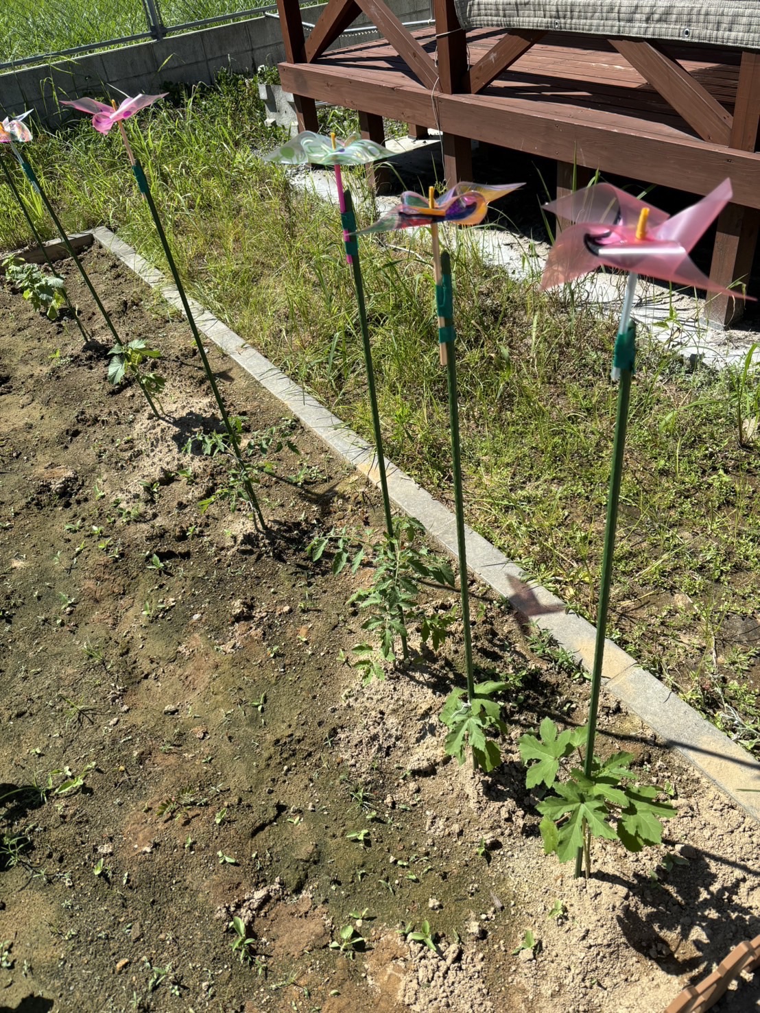 風車 わくわくB | NPO法人 さんぽ