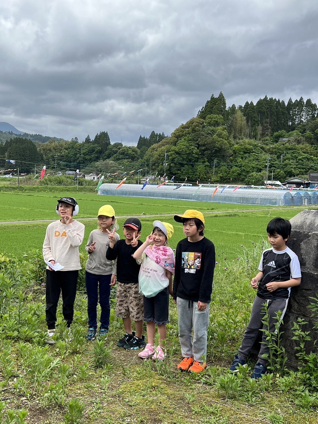 鯉のぼりと公園 わくわくB | NPO法人 さんぽ
