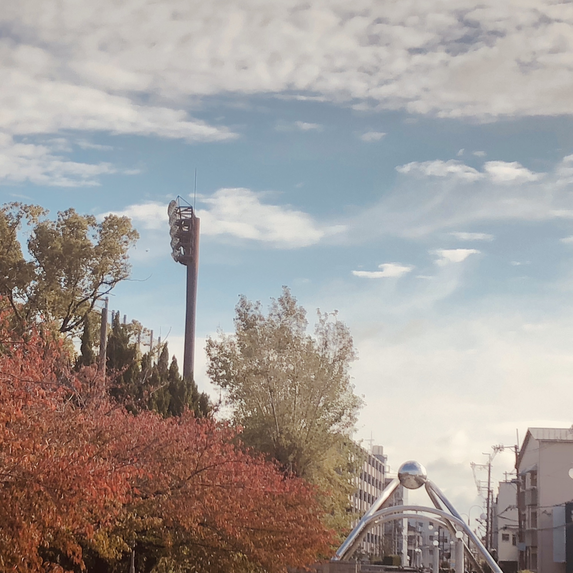 秋限定ブレンド | MAHOT COFFEE