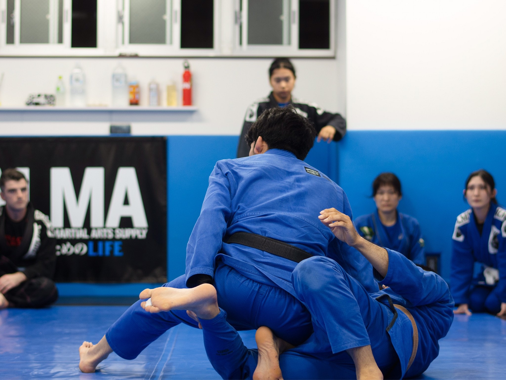 12月のスケジュール | ブラジリアン柔術道場 ALMA FIGHT GYM HOMIES(ホーミーズ)