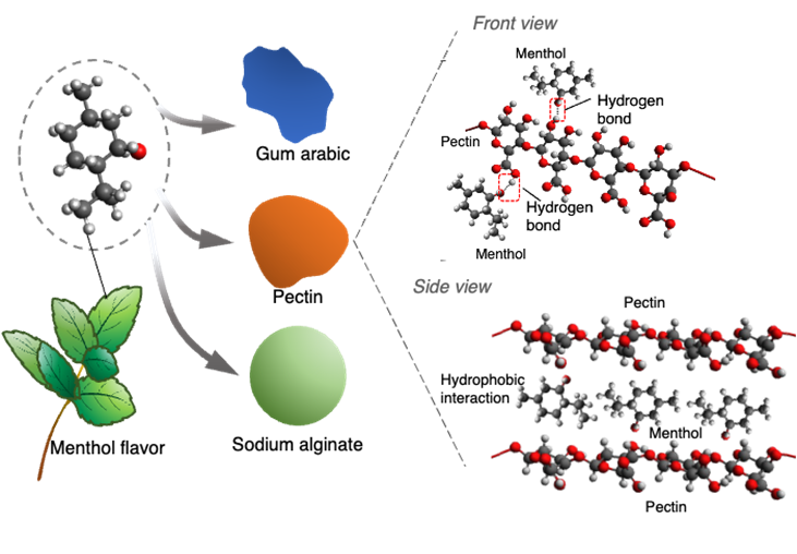 [Paper] ACS Food Science & Technology | Thermal Fluid Materials ...