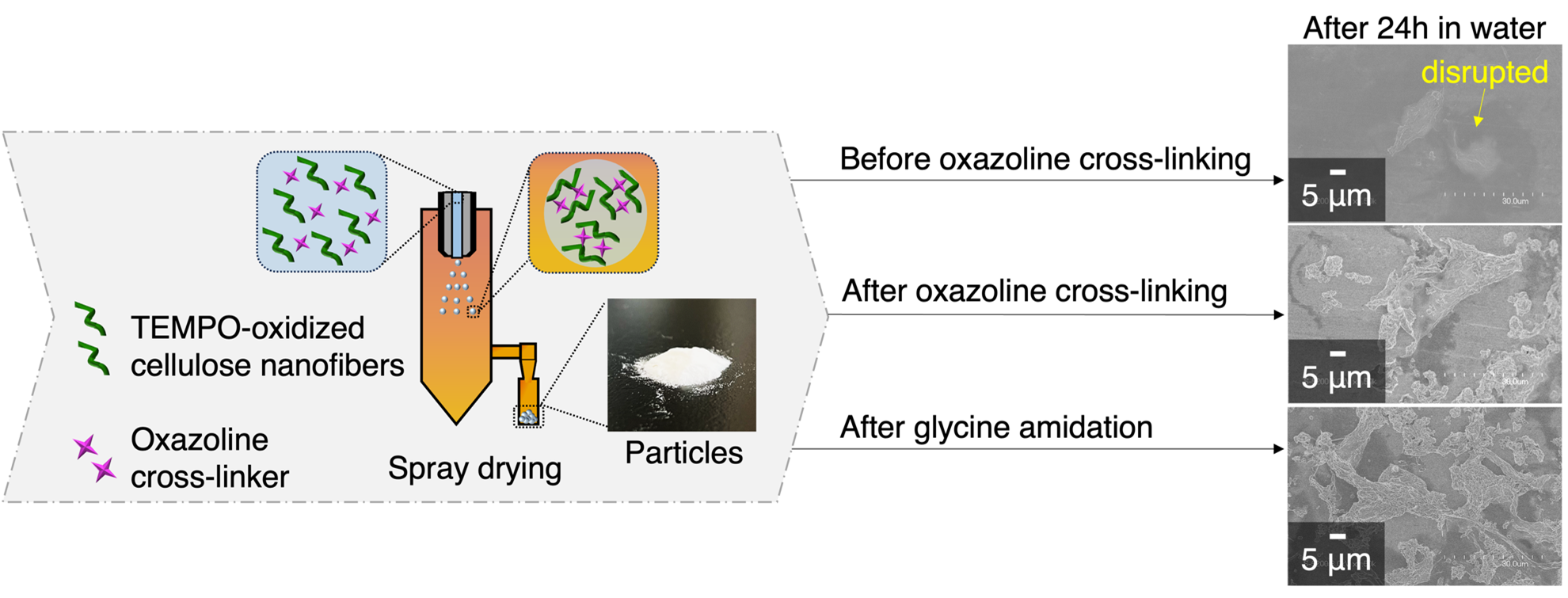[Paper] Advanced Powder Technology | Thermal Fluid Materials ...