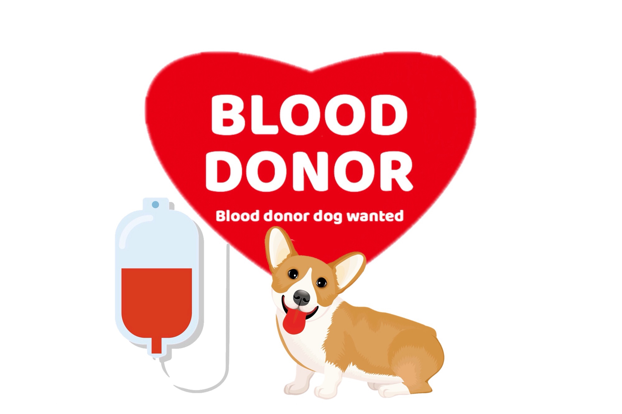 HELP ME | DOG BLOOD DONOR WANTED
