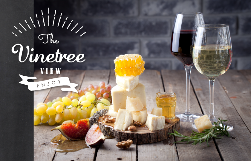 Vinetree VIEW vol.3 | VinetreeMAGAZINE