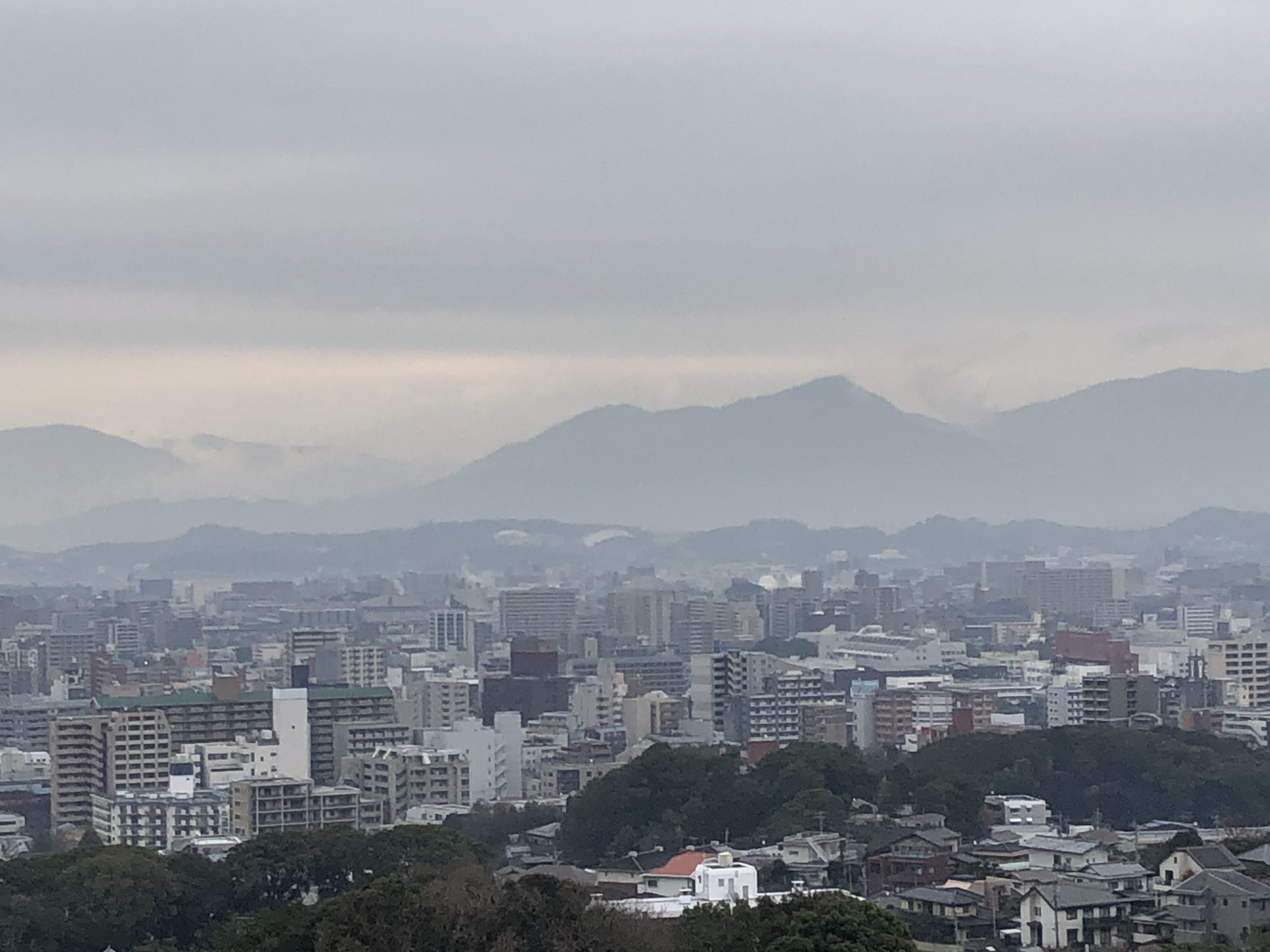 展望台 | Yorie official HP