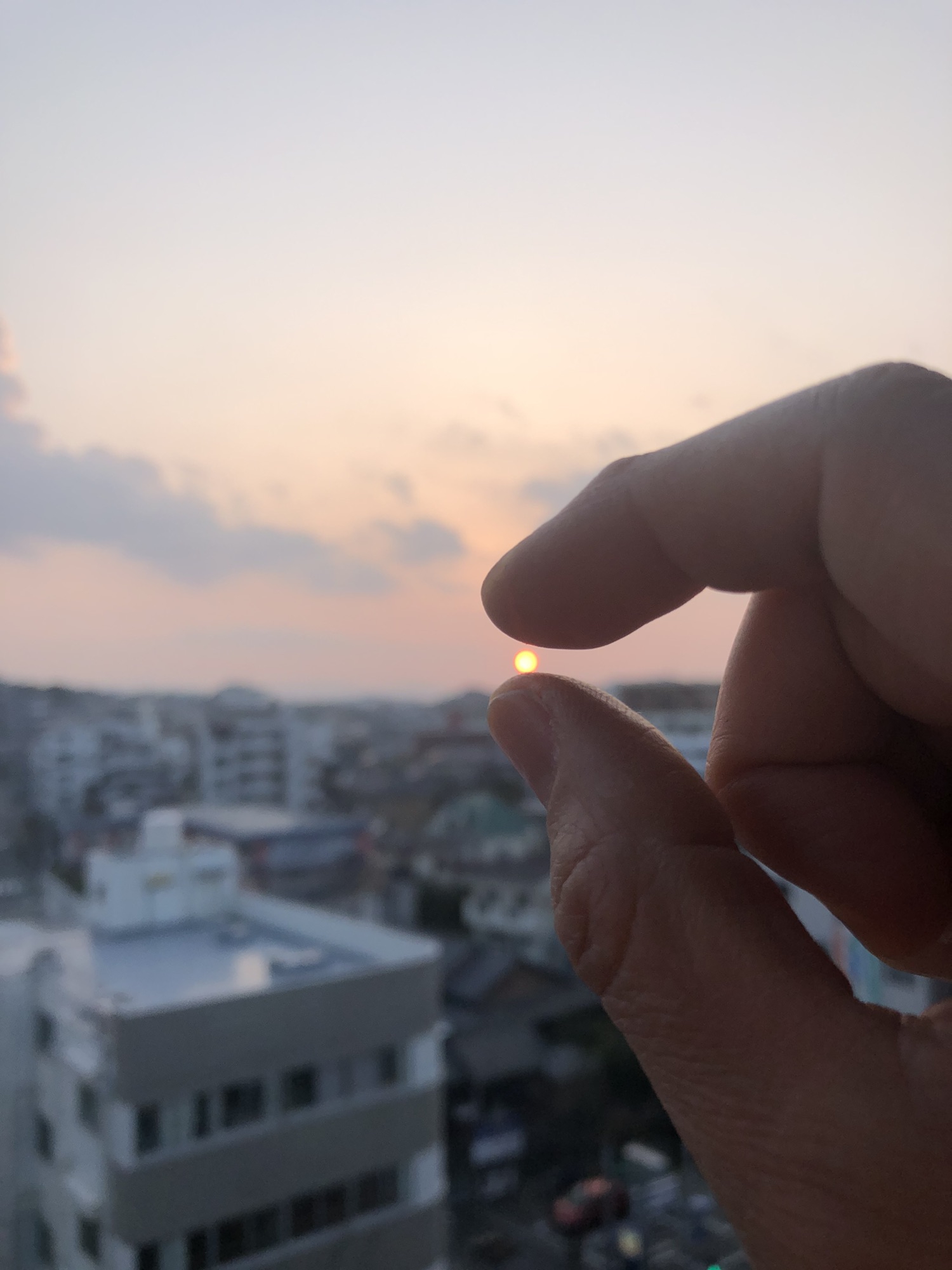 今日の夕日 | Yorie official HP