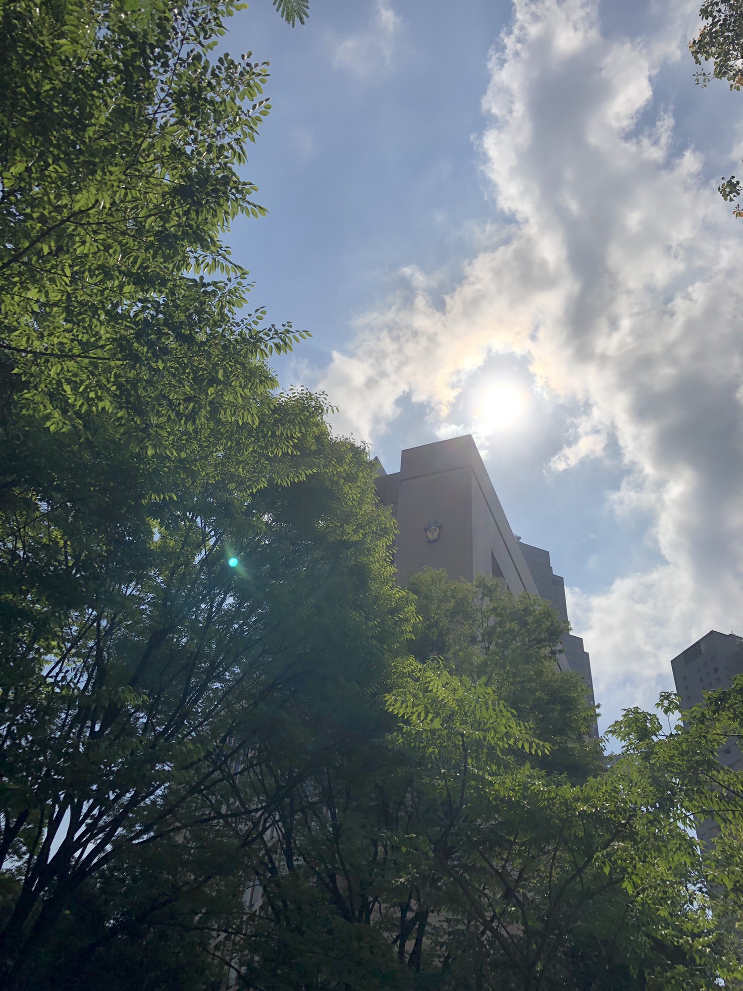 聖路加国際病院へ | Yorie official HP