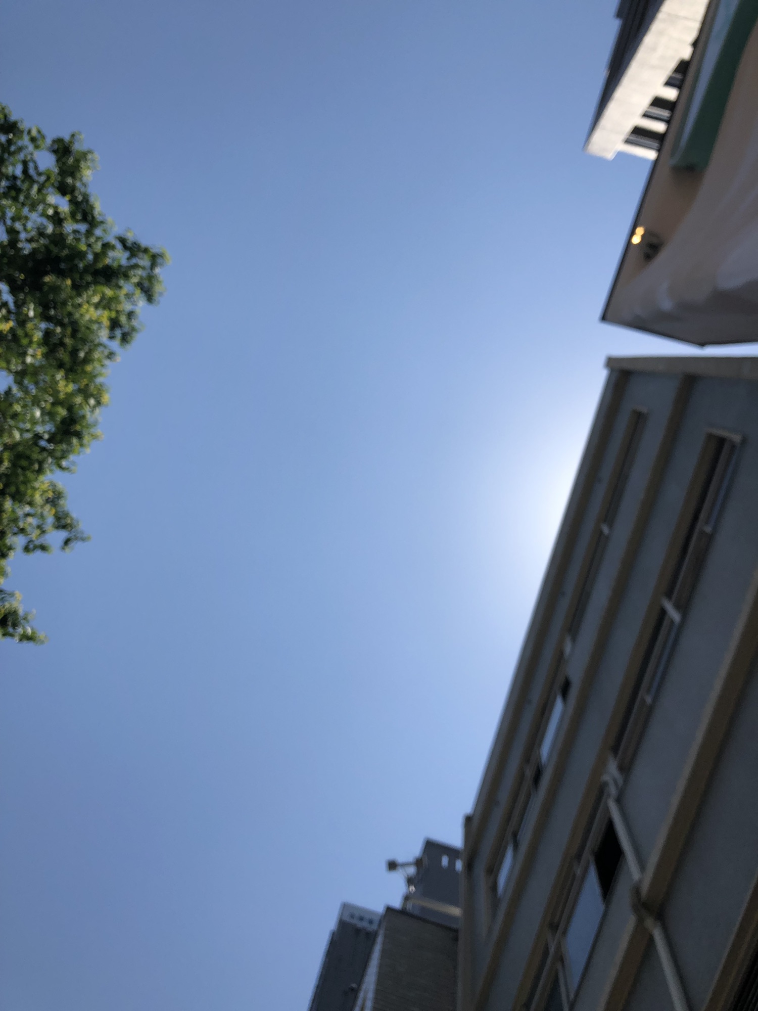 大阪快晴 ️ | Yorie official HP