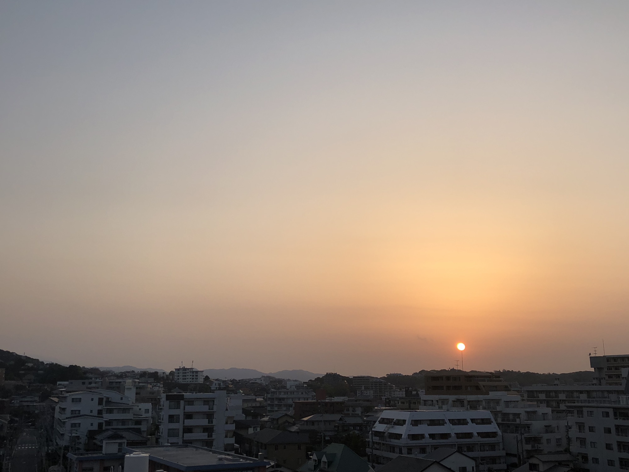 今日の夕日と桜 | Yorie official HP