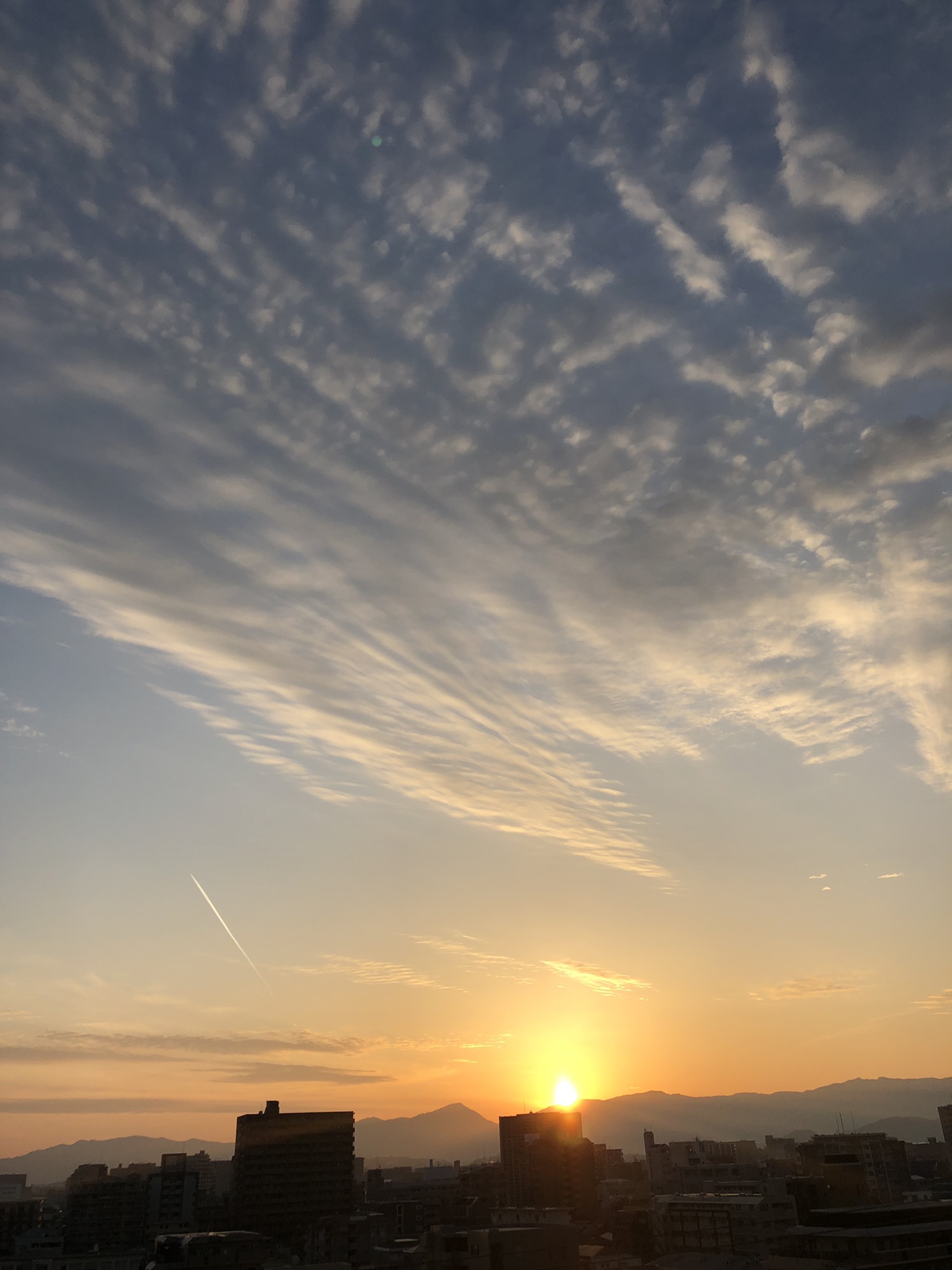 今日のはじまり | Yorie official HP