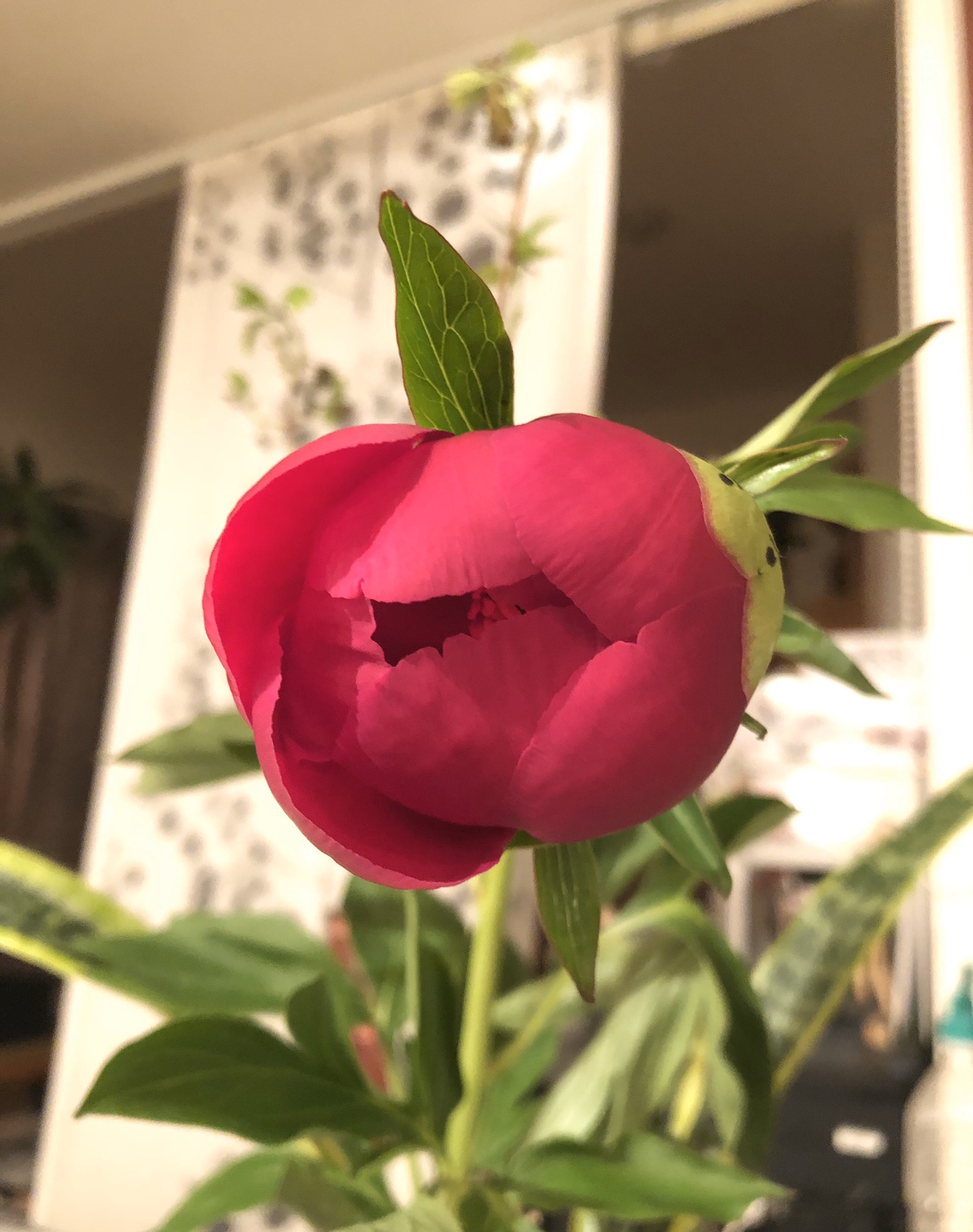 また開いた！ | Yorie official HP