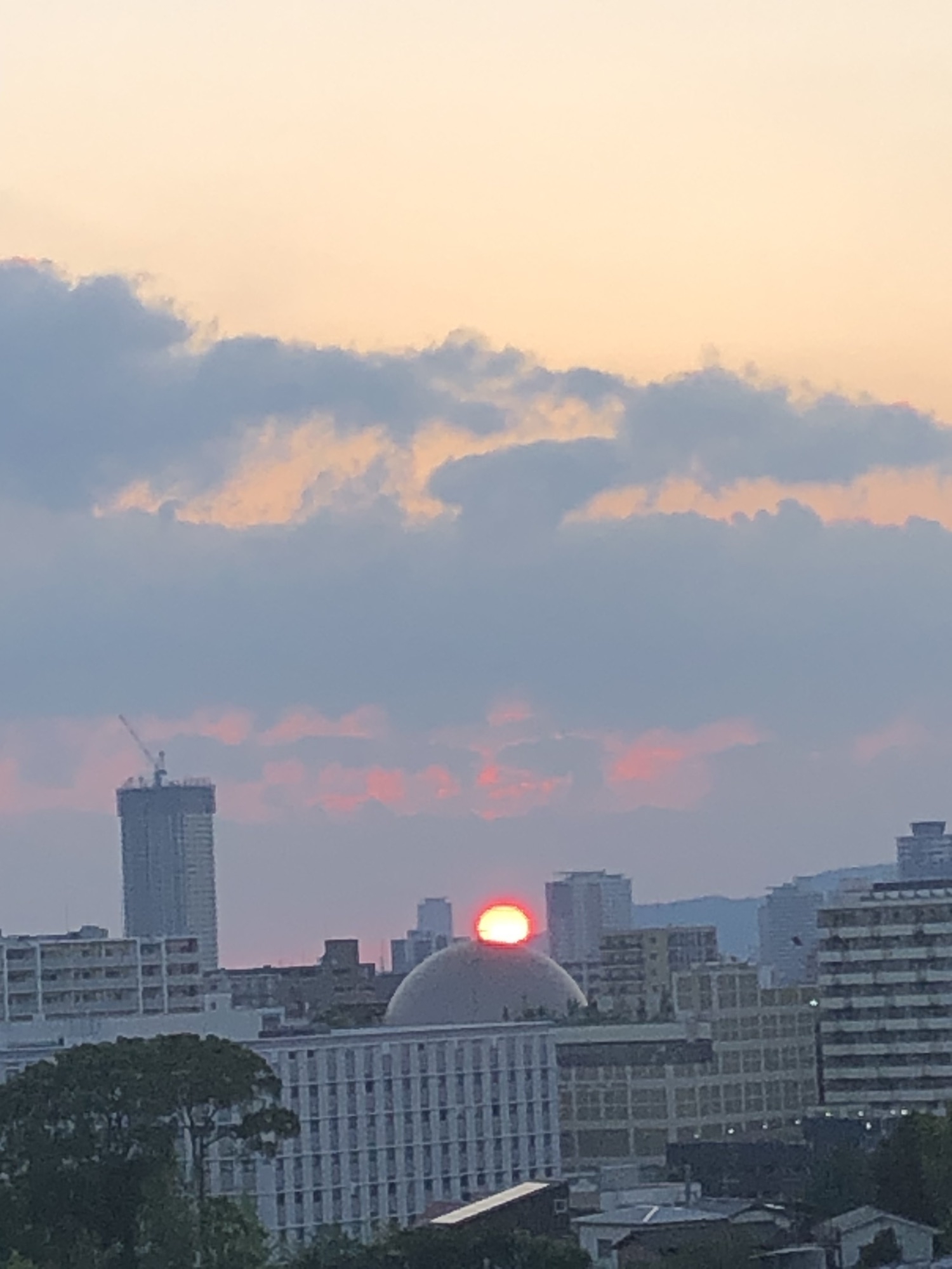 今日の夕暮れ | Yorie official HP