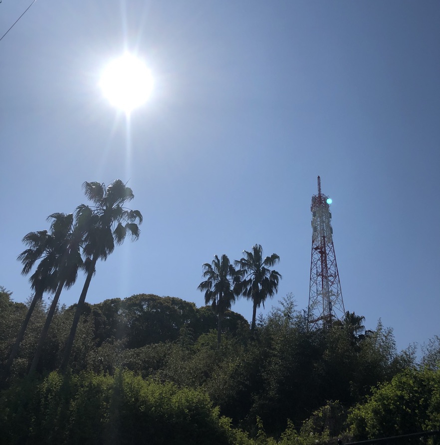 今日の散歩道 | Yorie official HP