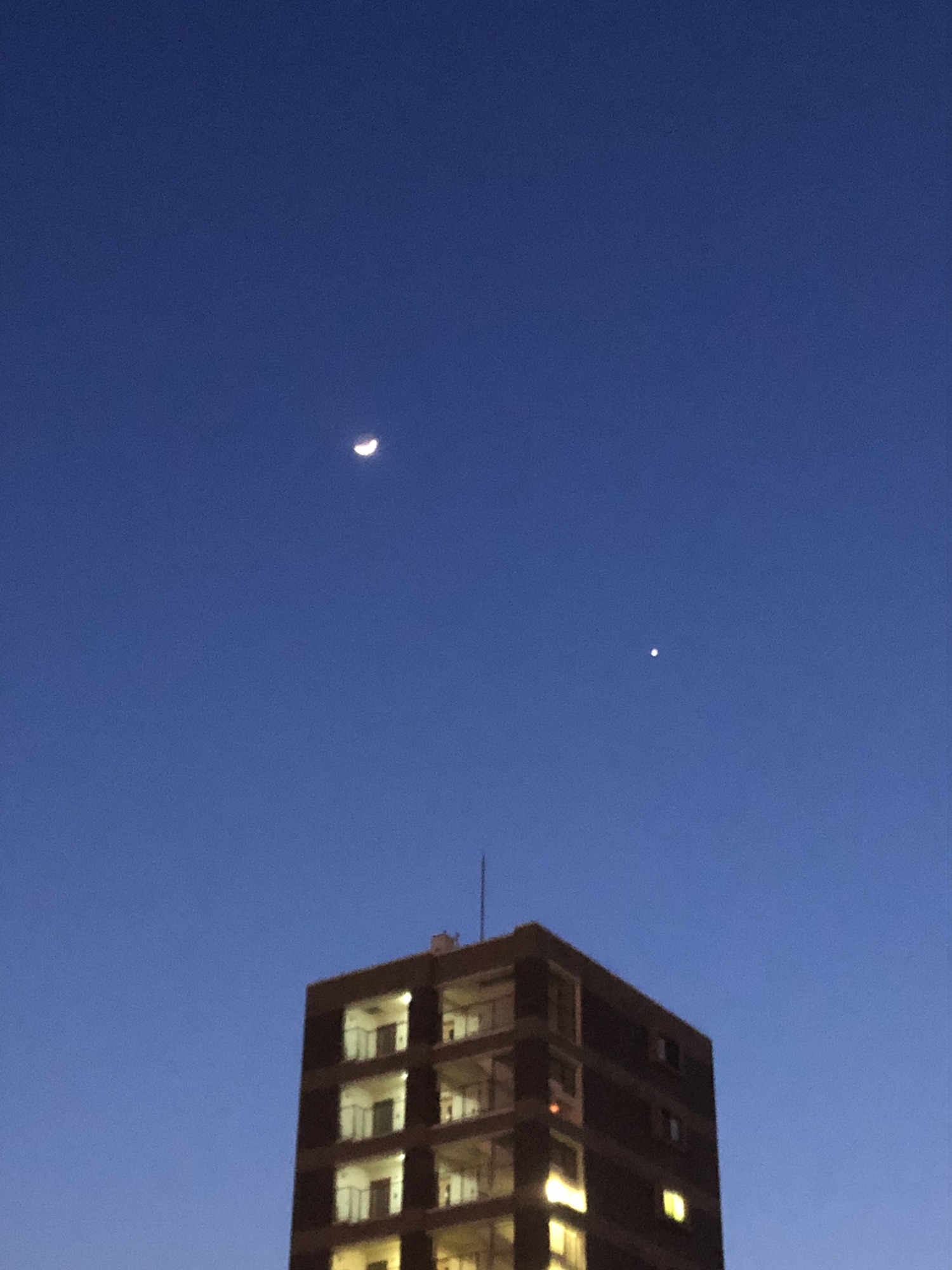 今日の夜散歩 | Yorie official HP