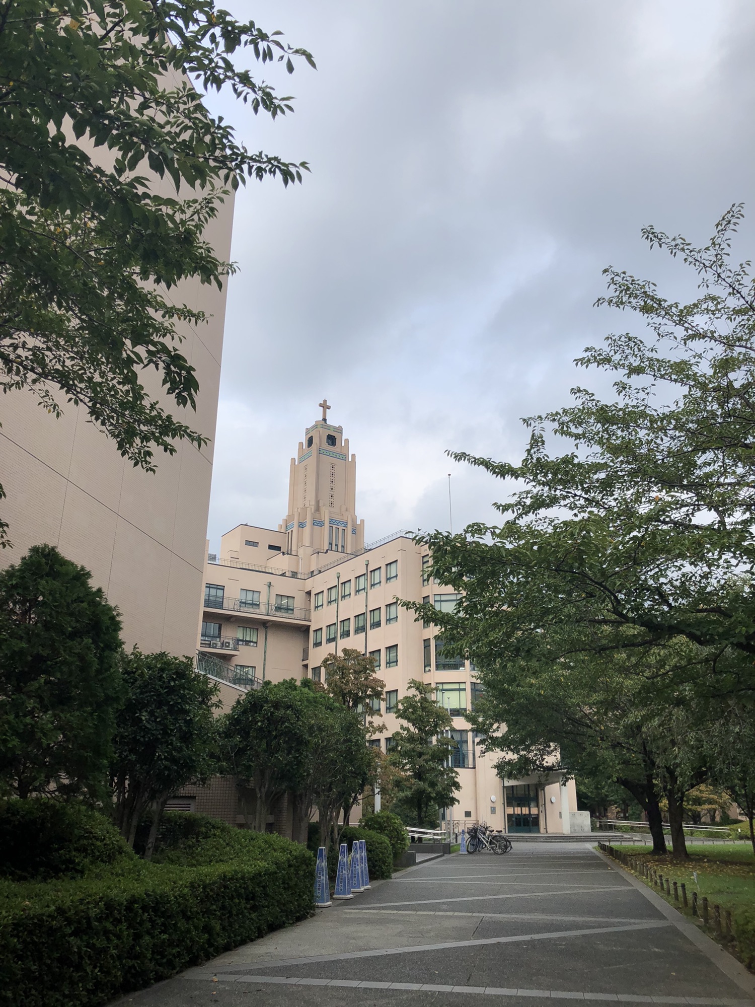 11月は、聖路加第一画廊 | Yorie official HP