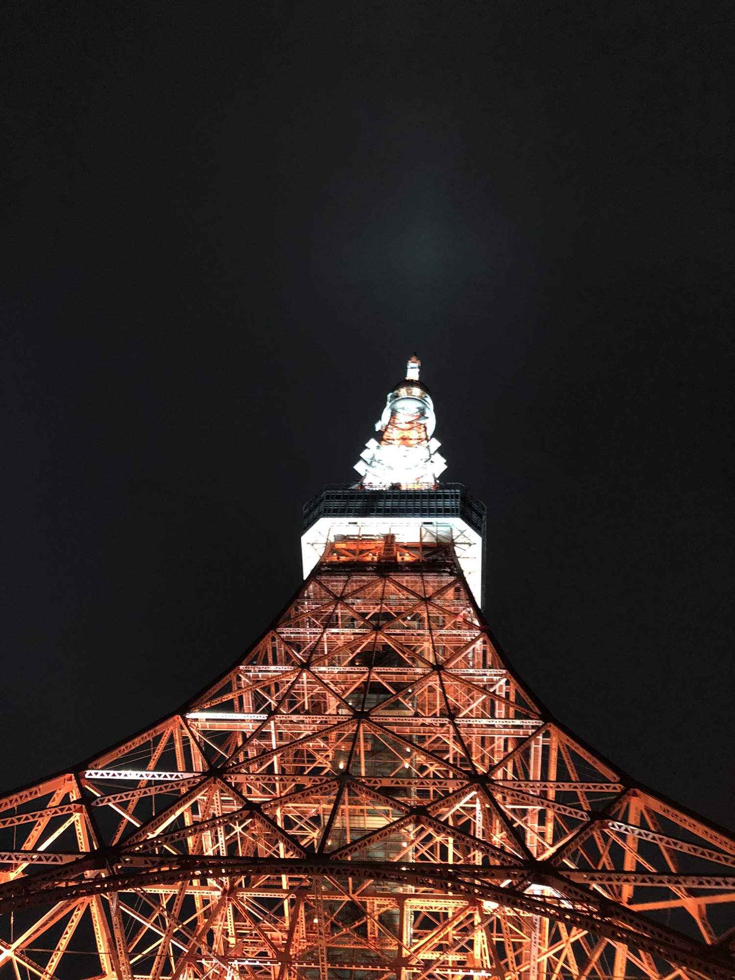 夜の散歩 | Yorie official HP