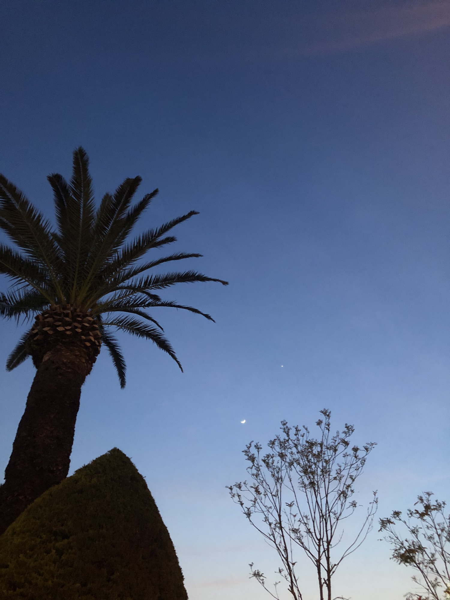 夜散歩にて | Yorie official HP