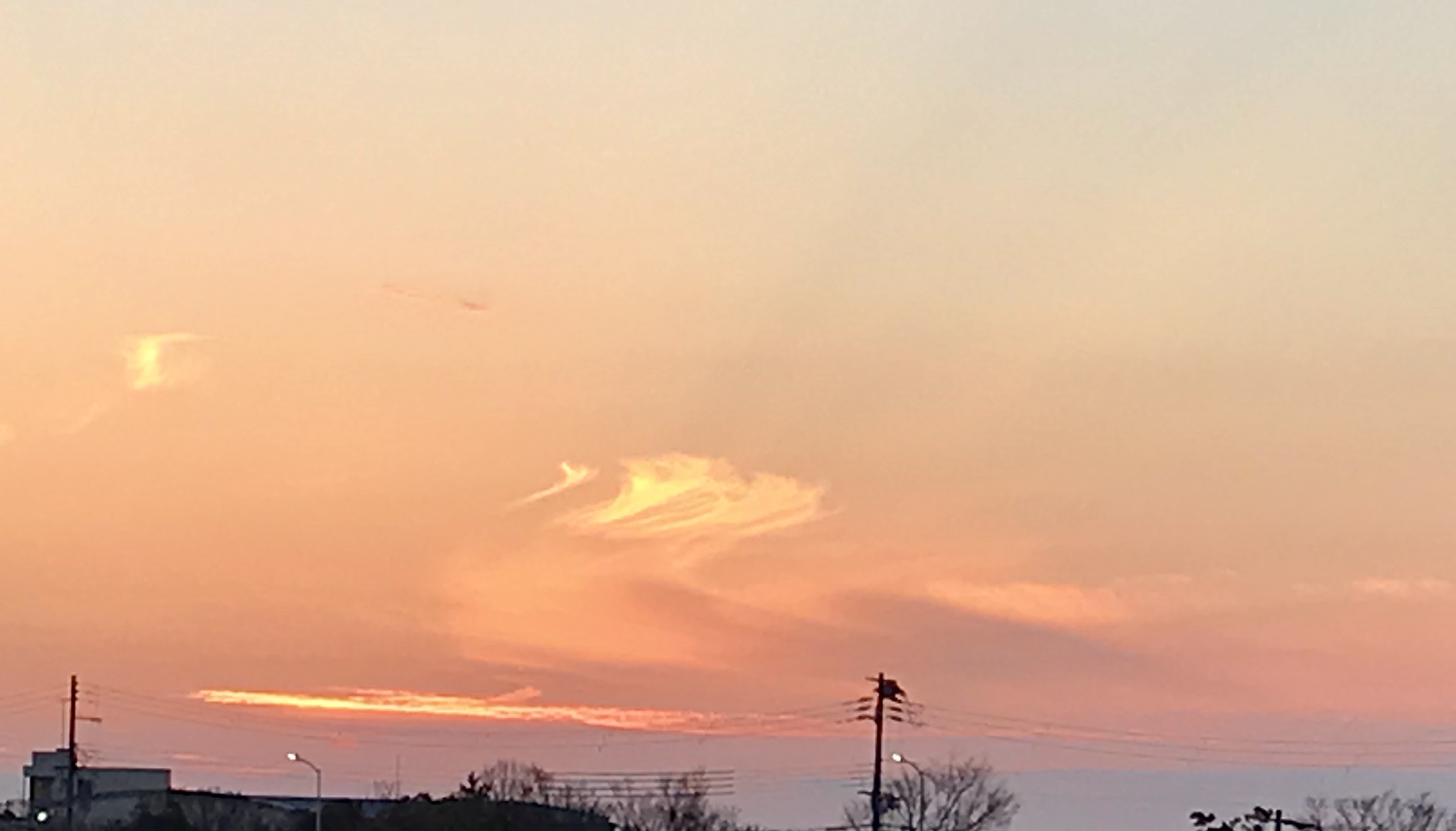 白鳥？鳳凰？ | 中村鏡とクック25cm望遠鏡