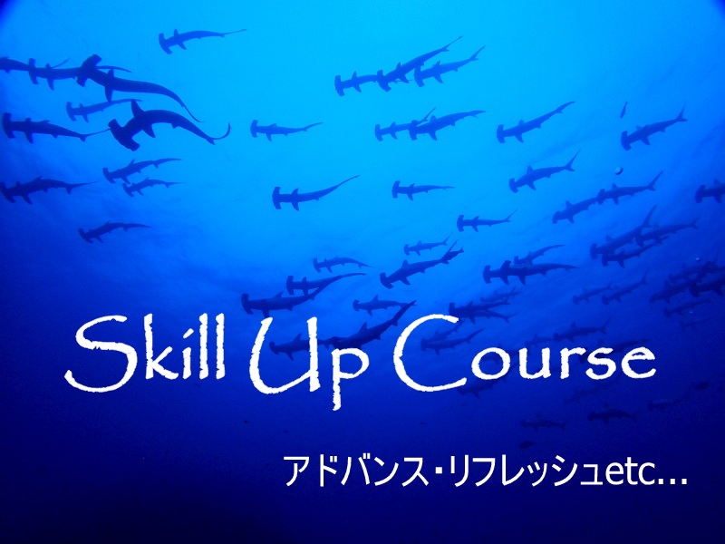 SKILL UP | EARTH SOUND 東京都練馬区ダイビングショップ アースサウンド｜ライセンス取得ならお任せ！