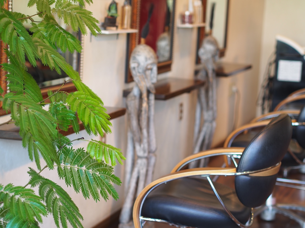 Profile | Chic hair Design