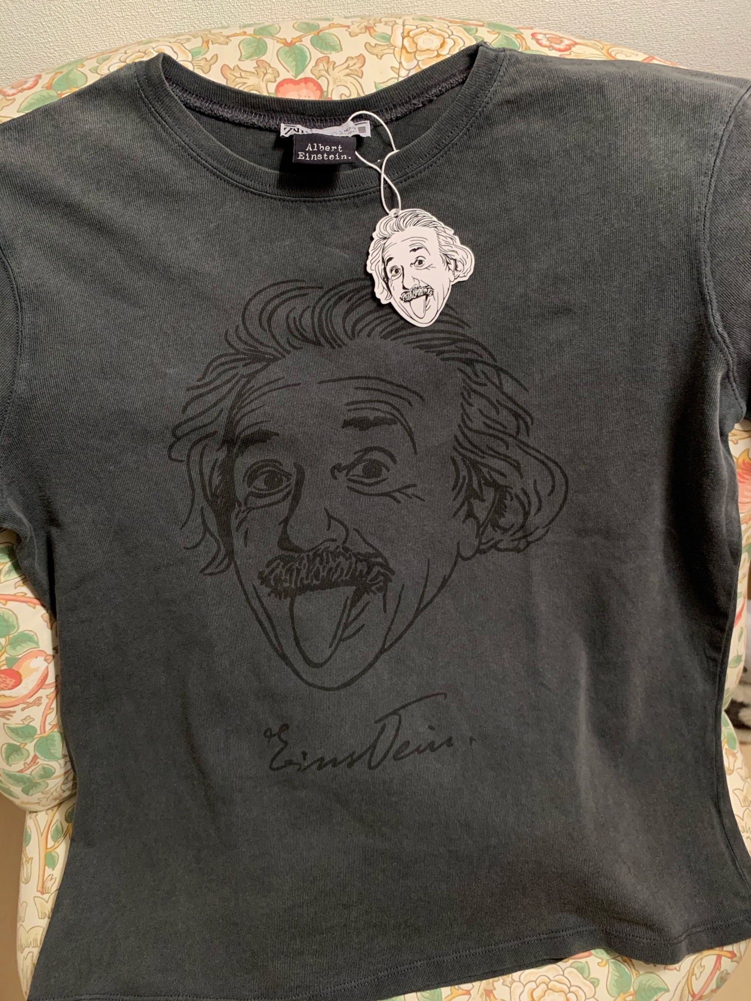 Albert Einstein T-shirt！ | Fashion source: Daily Journal