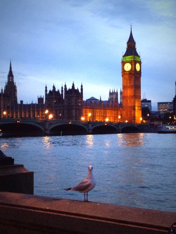 ME TOO の誕生。 | FASHION SOURCE: DAILY JOURNAL