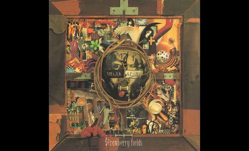 Strawberry Fields / ALiBI | GALLERY OF VISUAL SHOCK