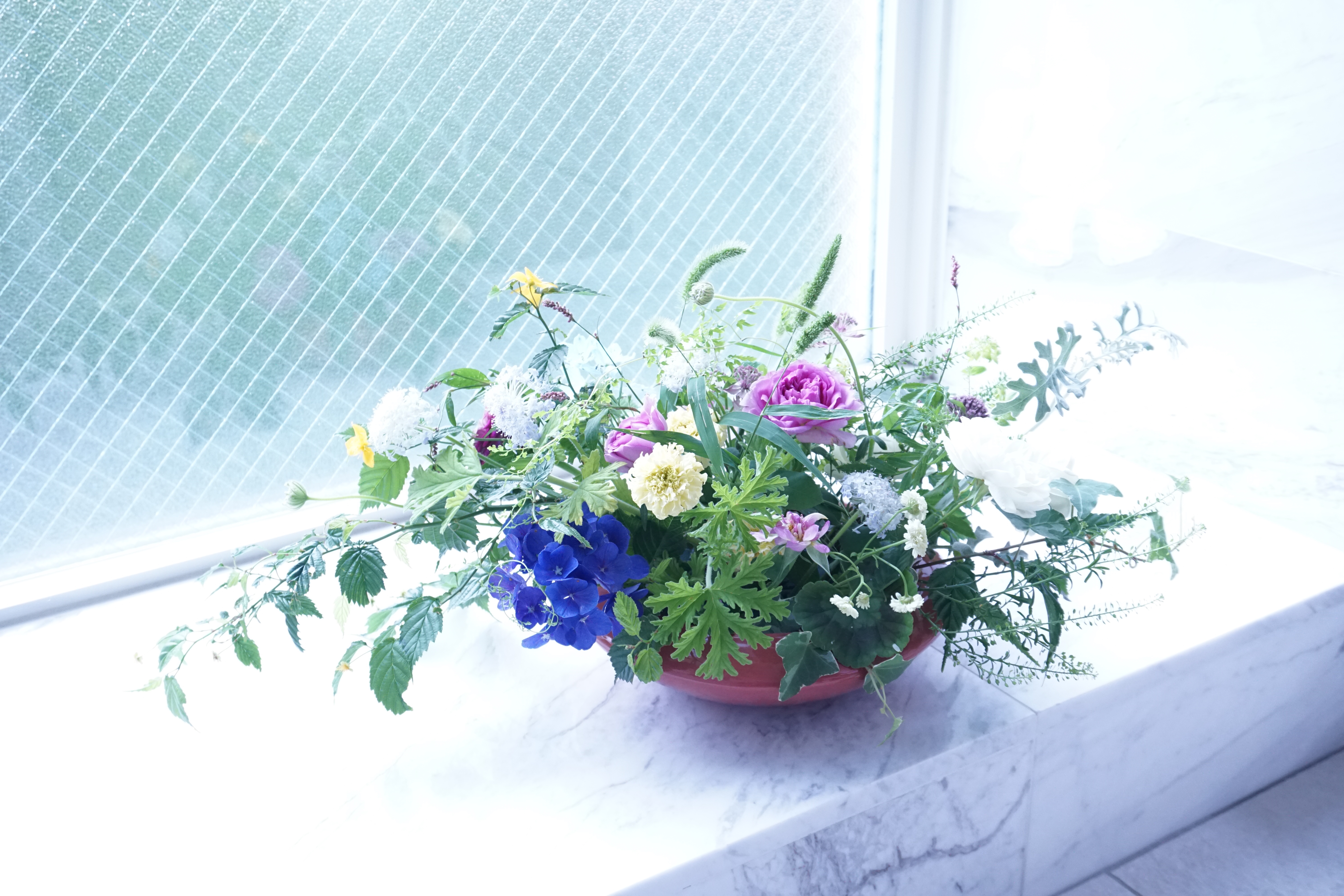 flower salon Sun Magnolia