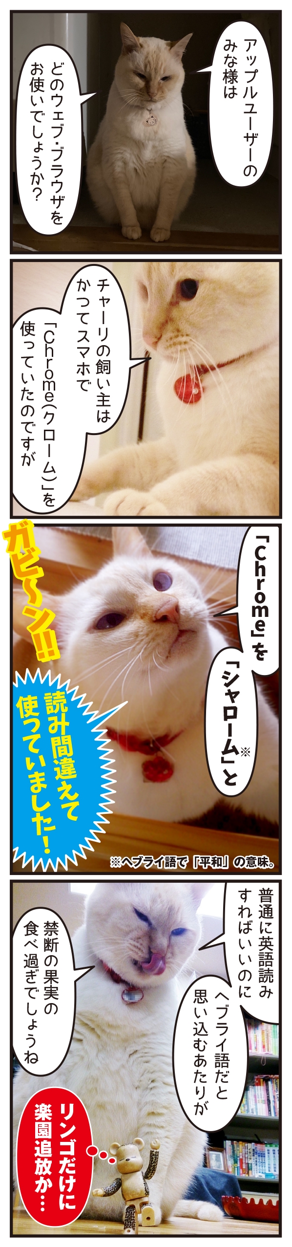 リサーチ!? にゃんにゃんウェブ・ブラウザ!! | Subcelebrity Race ~サブセレ