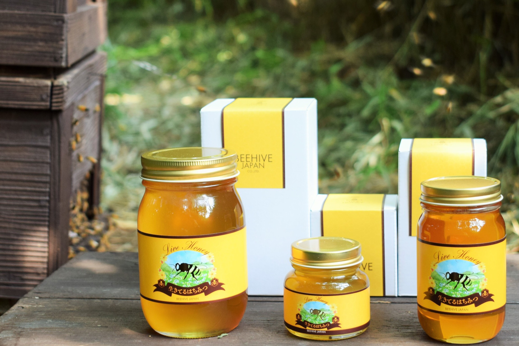 information | Beehive japan