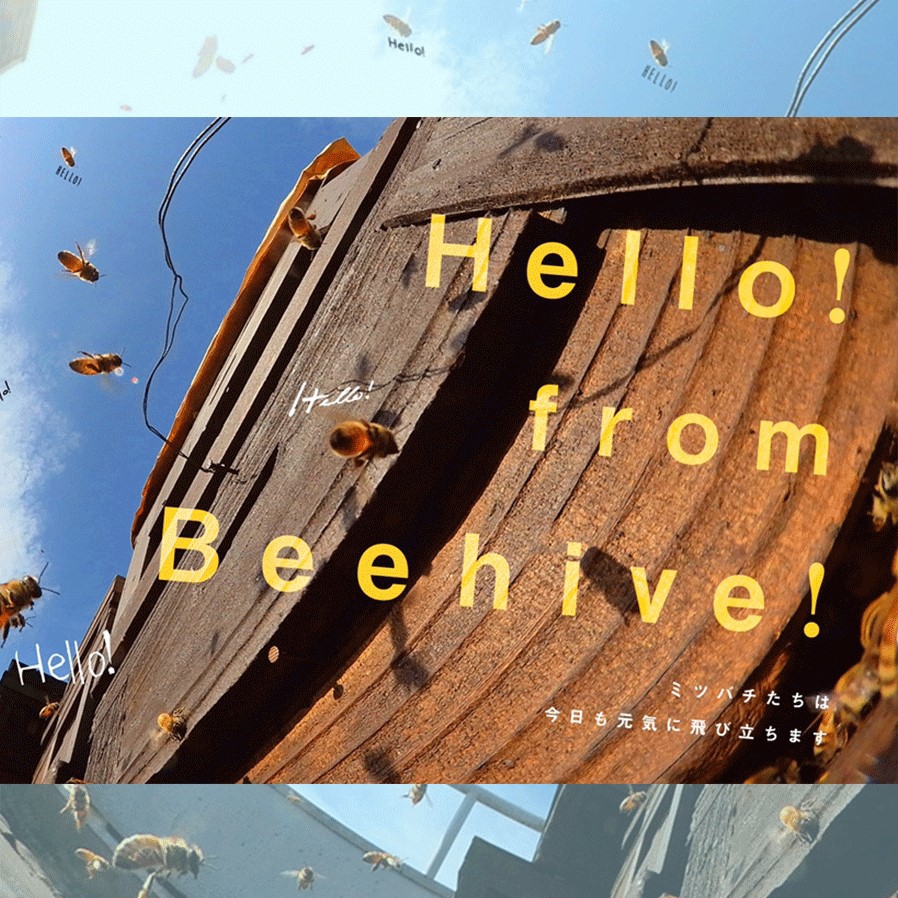 BEEHIVE JAPAN CO.,LTD.