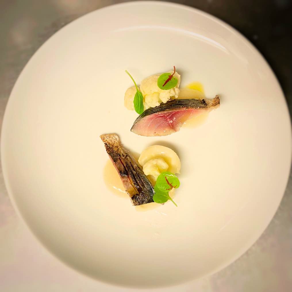 La double distinction la même année！ | La Nuit Blanche