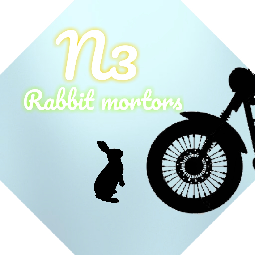 n3-Rabbit-motor