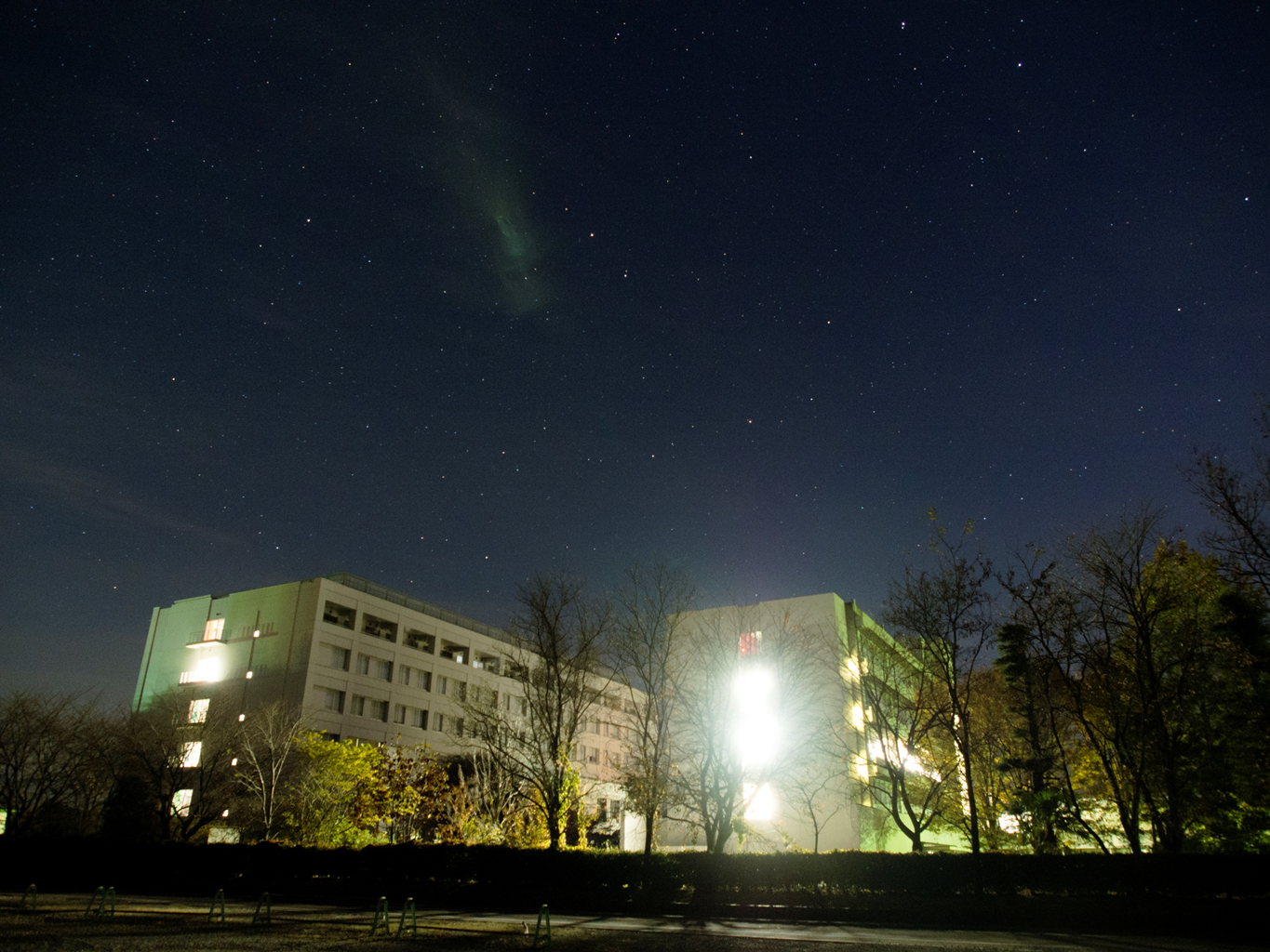 Research Summary | The Hamada Lab.