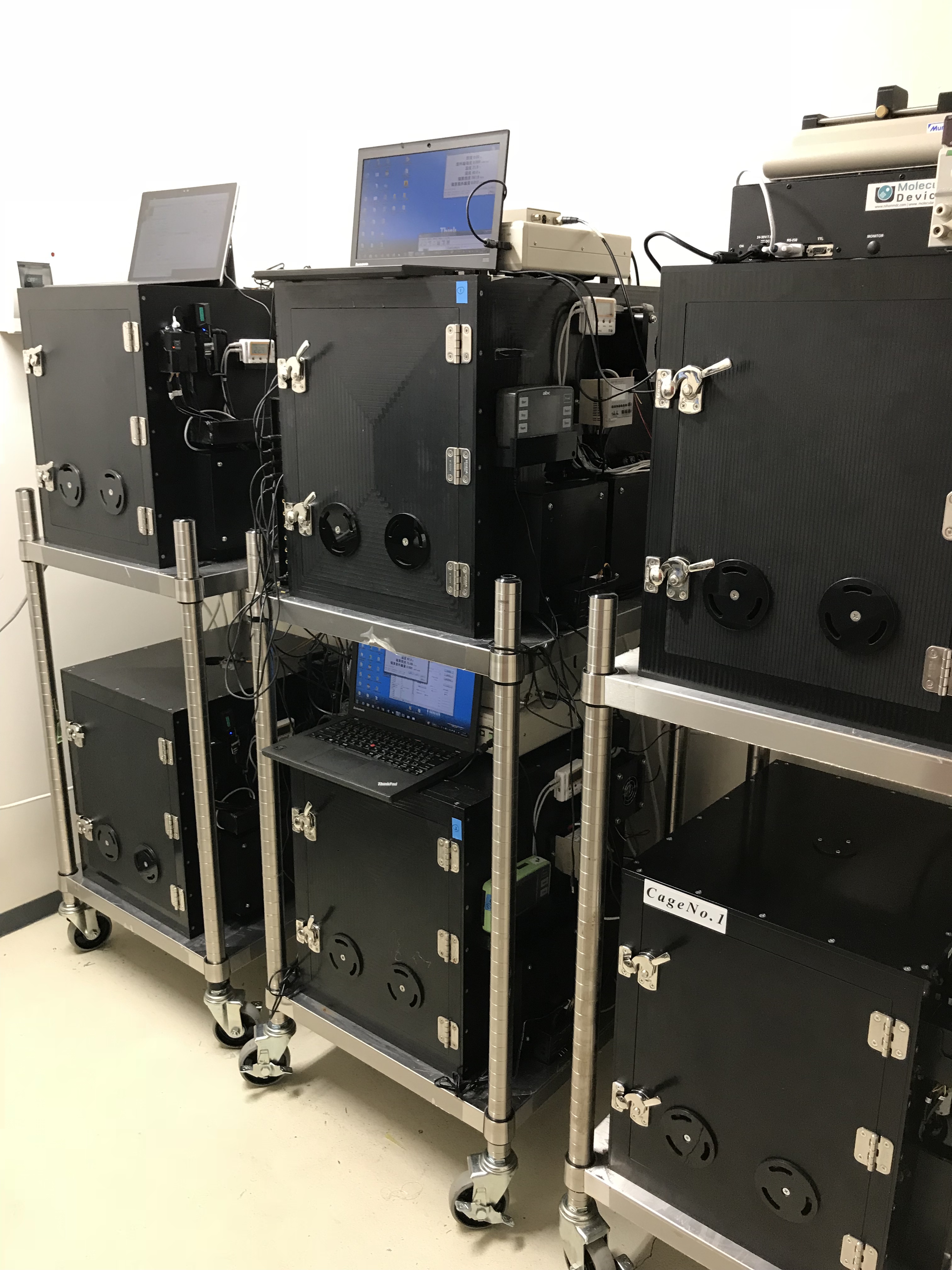 TCS - In Vivo detection in deep area | The Hamada Lab.