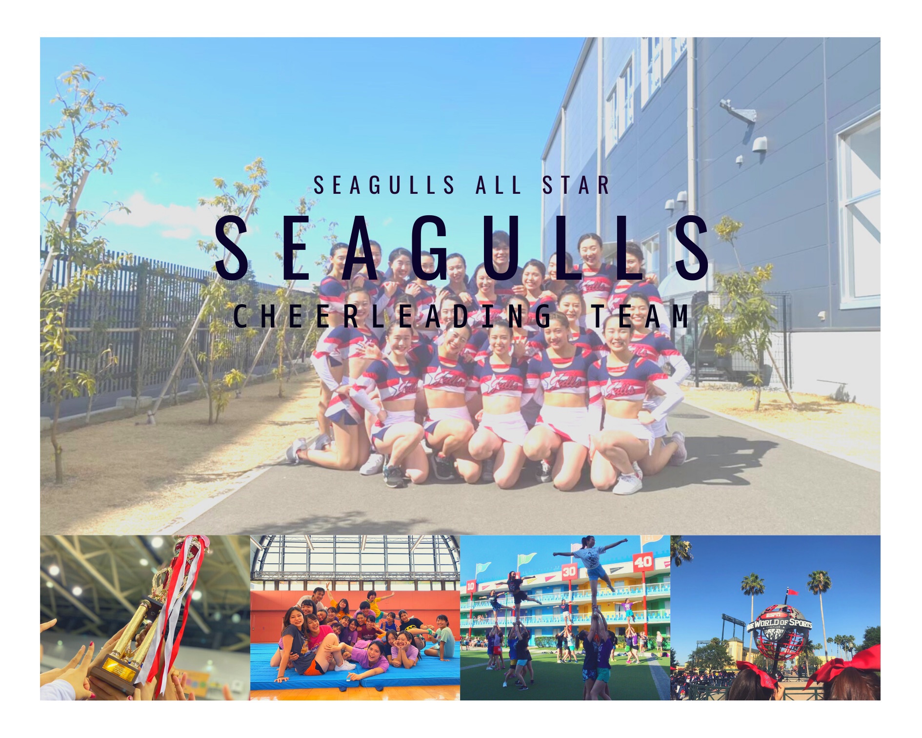 SEAGULLS