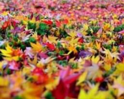 観察力 | Hako's be exercise