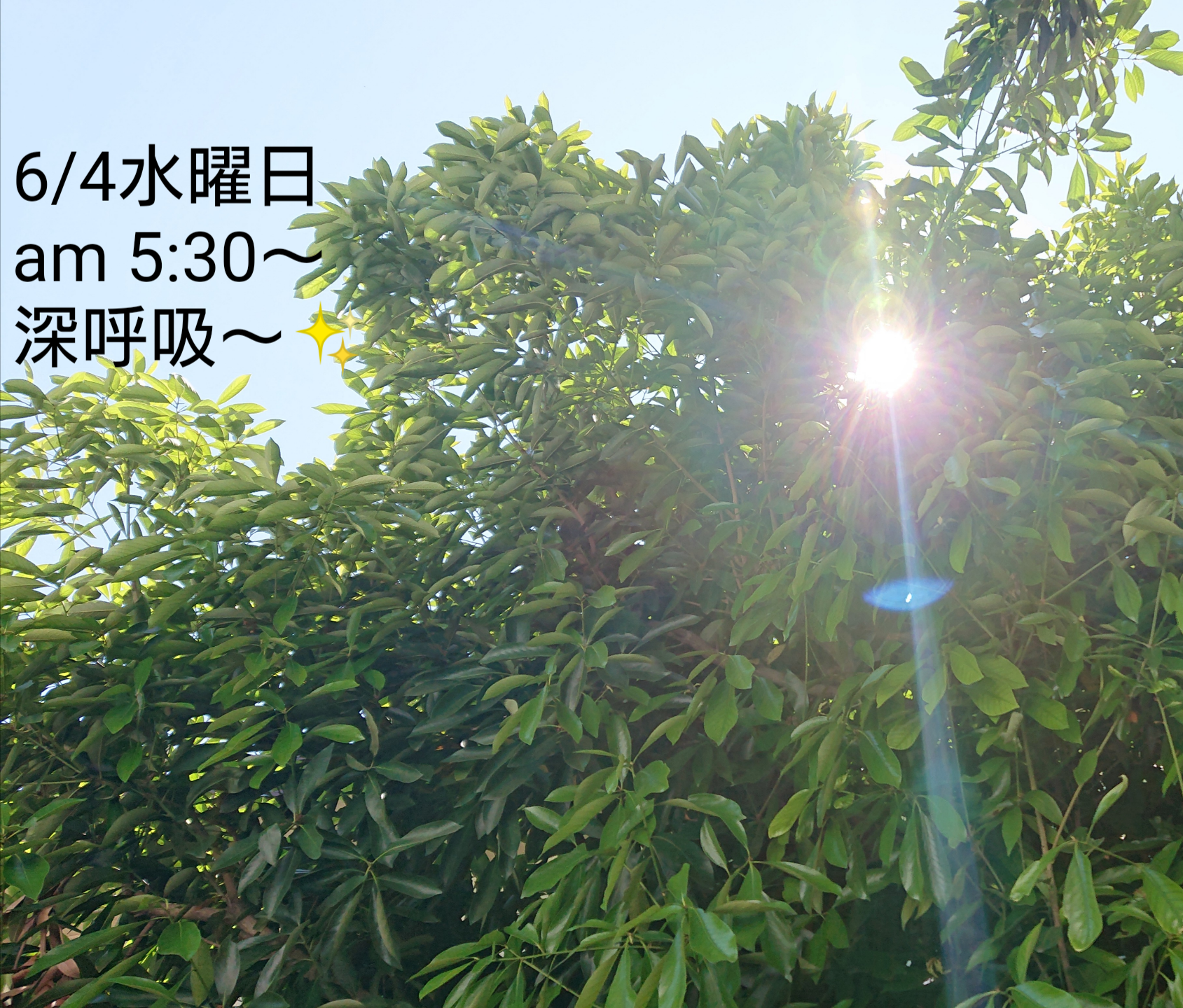 深呼吸～ | Hako's be exercise