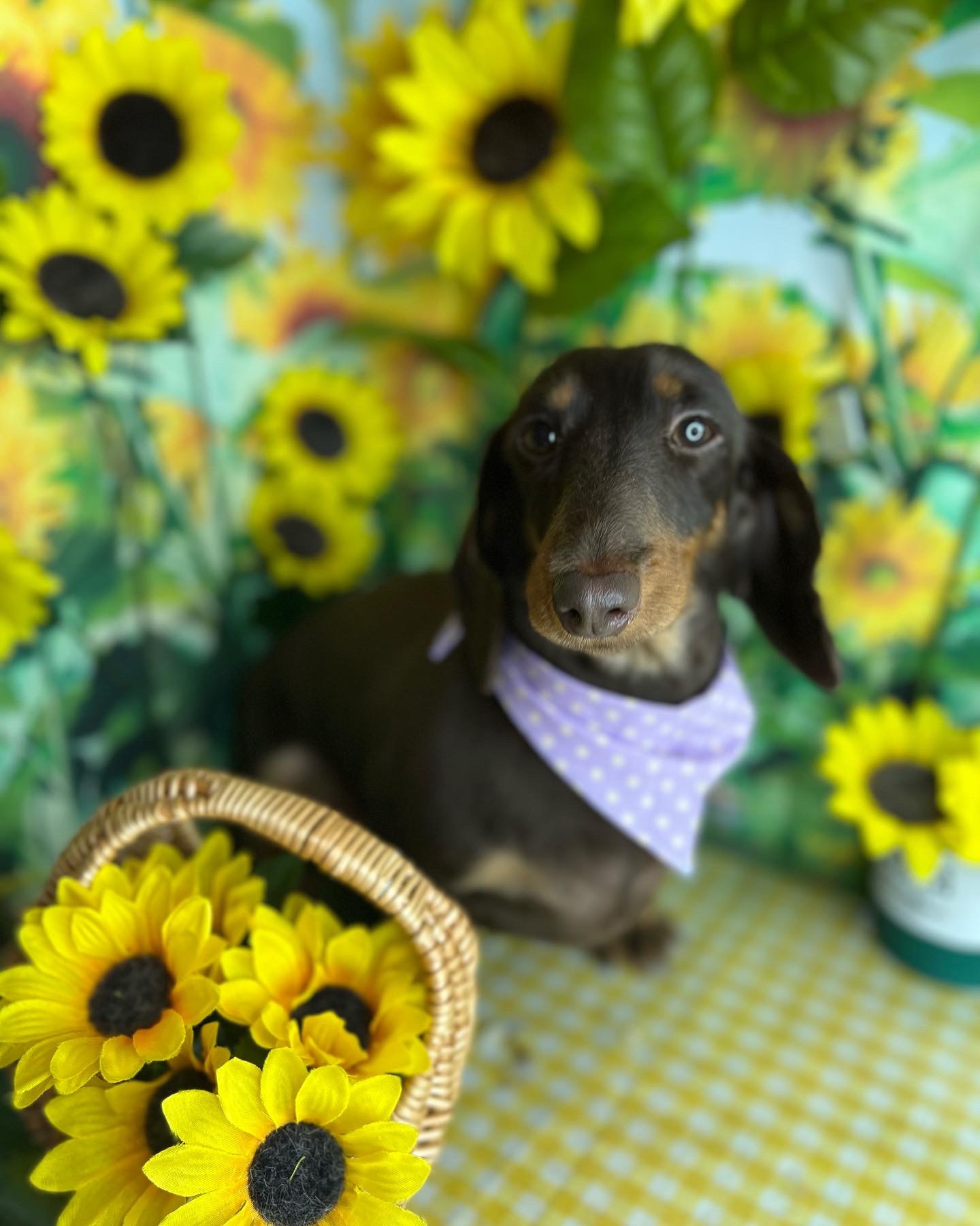 Team jumis world | Jumi’sWorld Blog