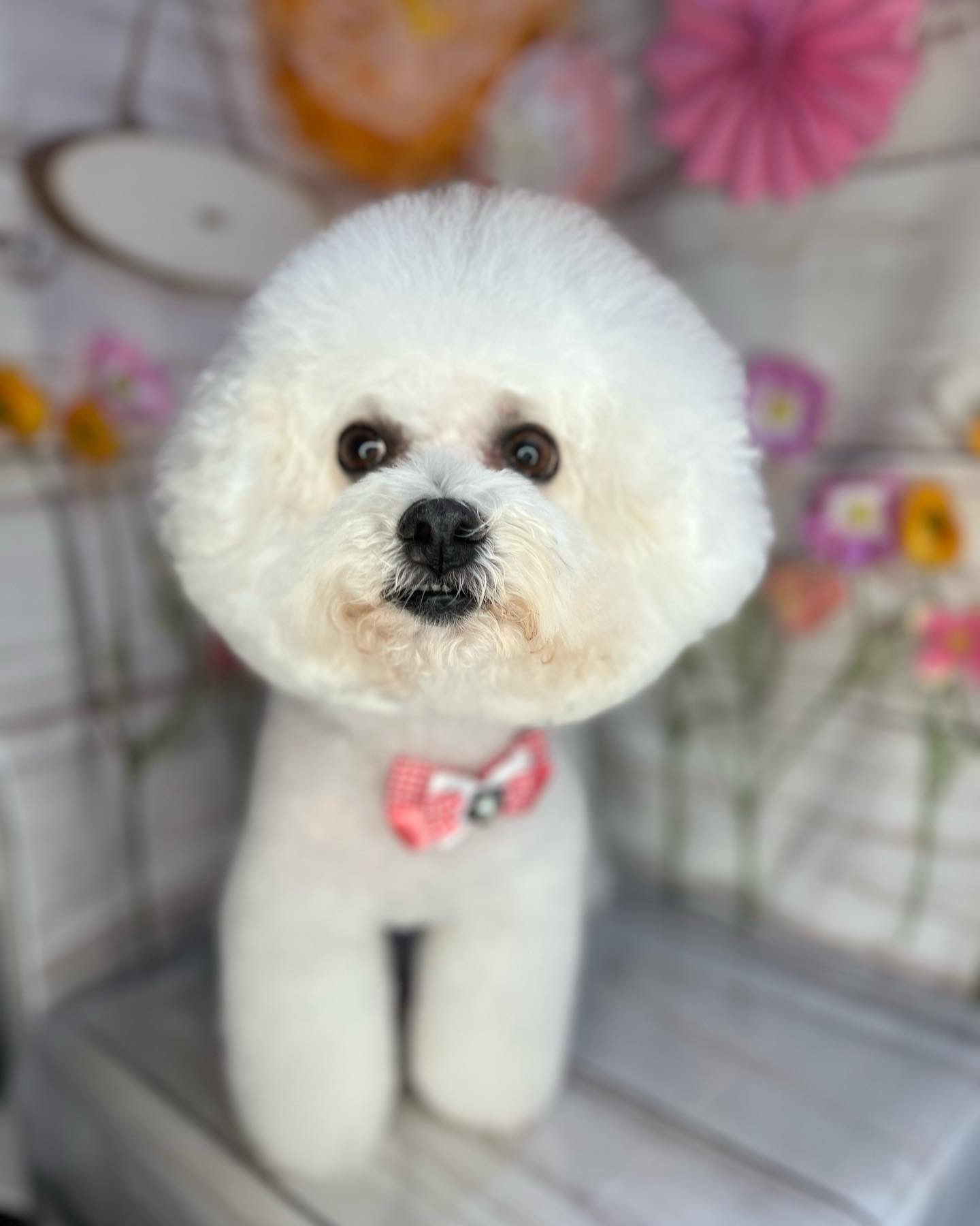 Team jumis world | Jumi’sWorld Blog