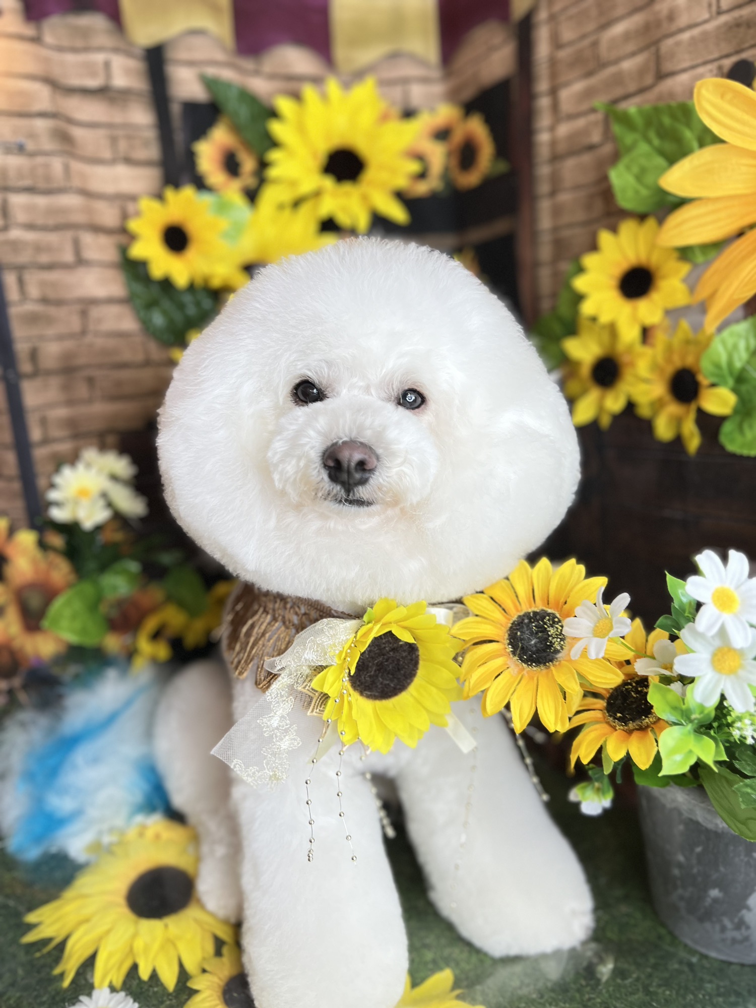 Team jumis world | Jumi’sWorld Blog