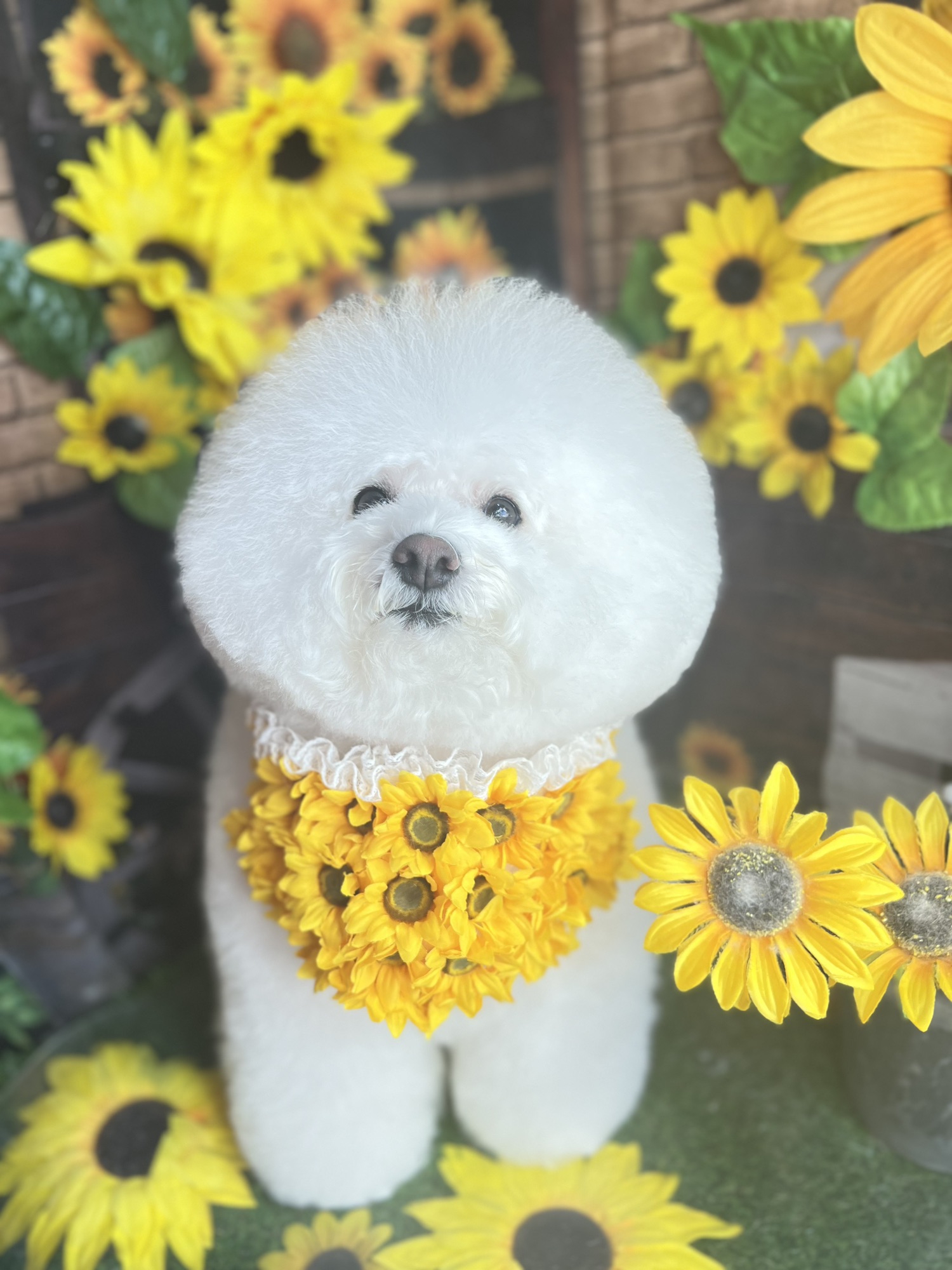 Team jumis world | Jumi’sWorld Blog