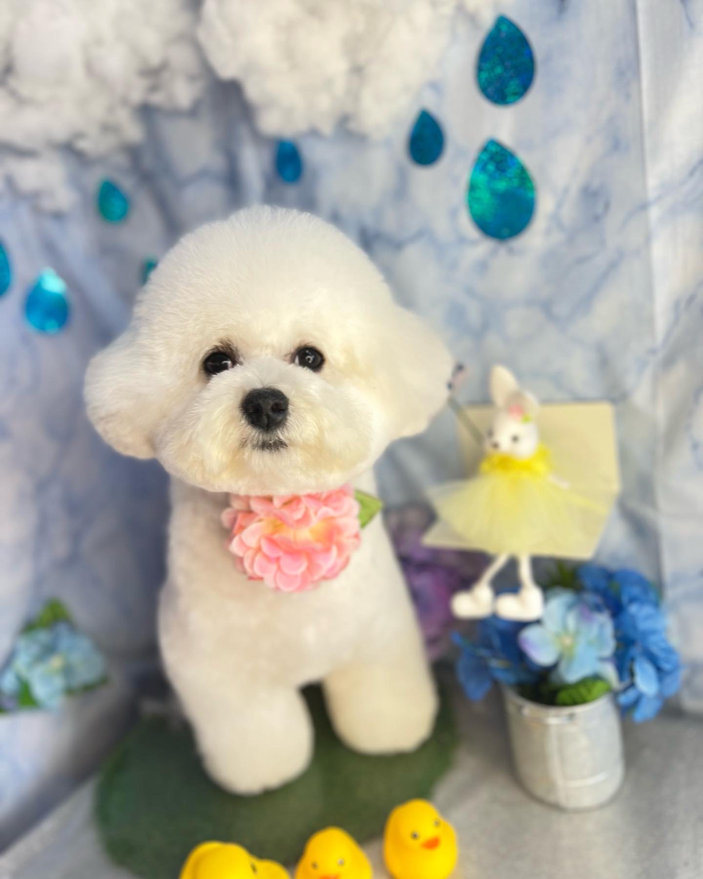 Team jumis world | Jumi’sWorld Blog