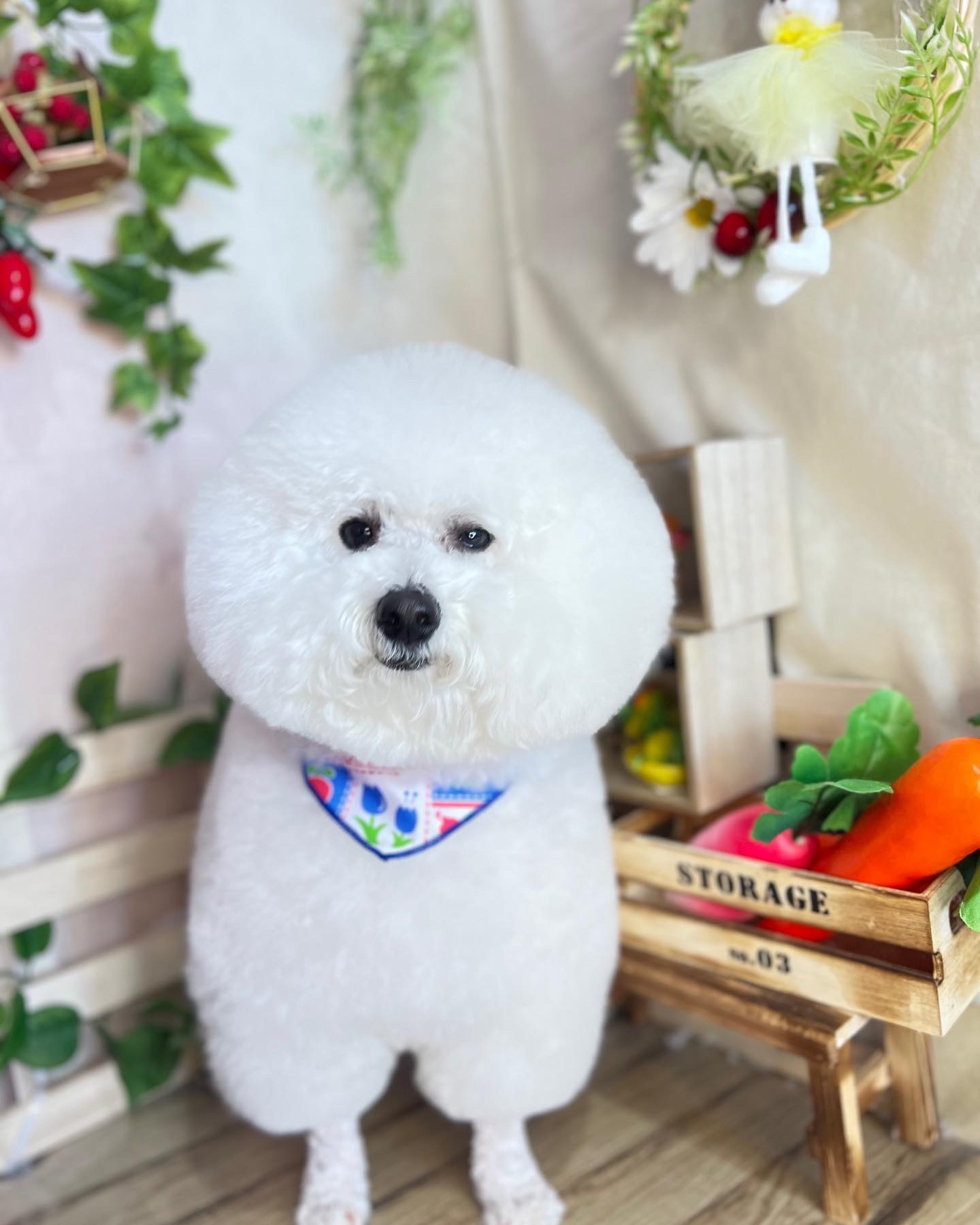 Team jumis world | Jumi’sWorld Blog