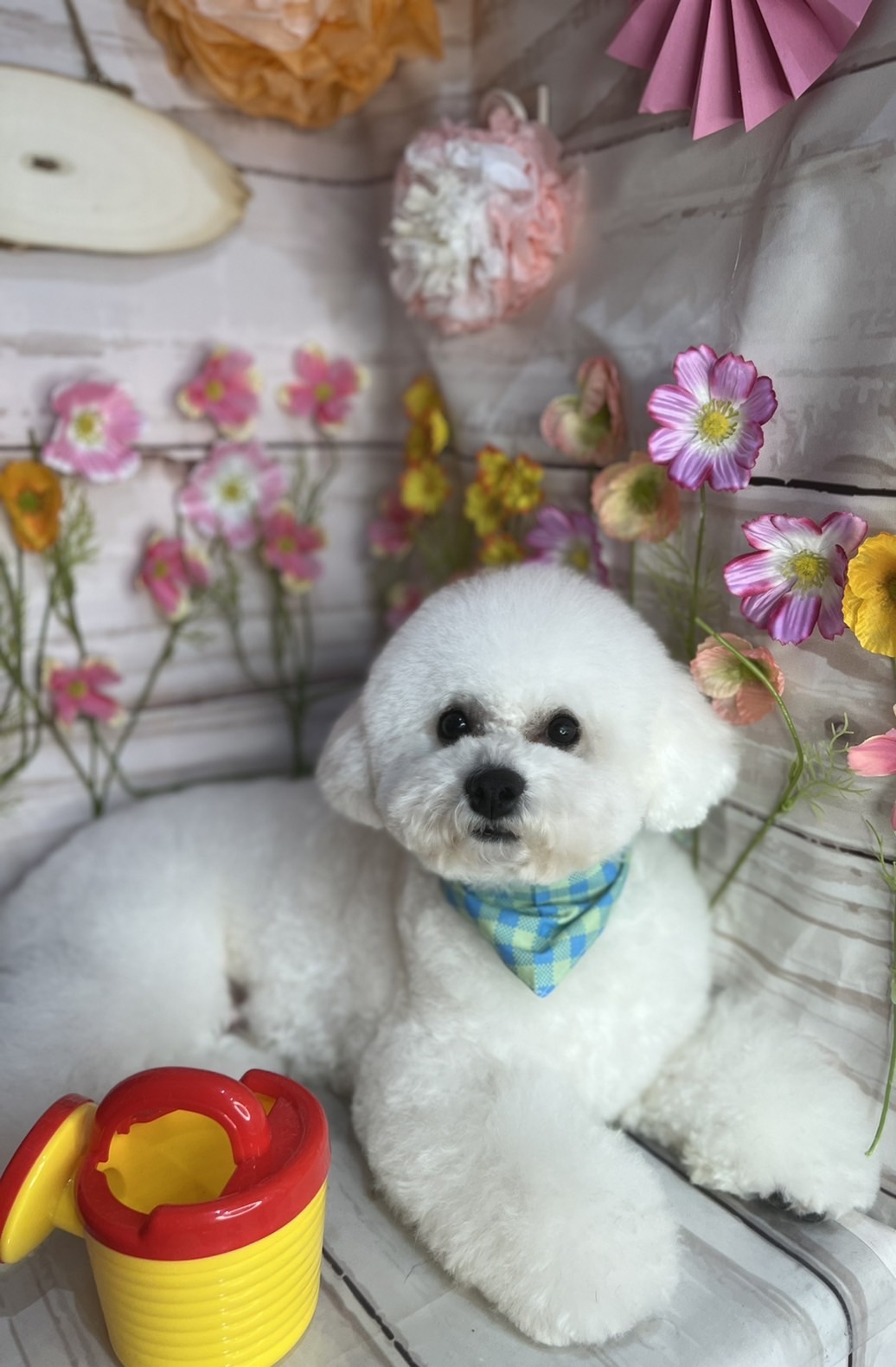 Team jumis world | Jumi’sWorld Blog