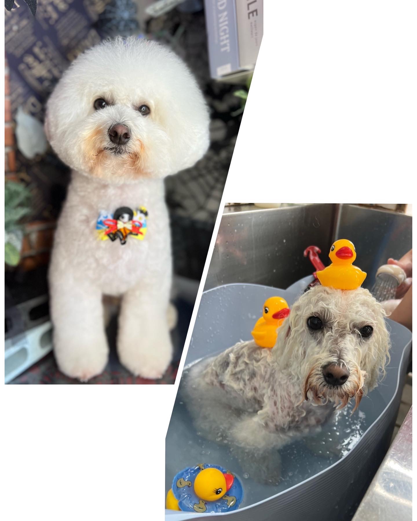 Team jumis world | Jumi’sWorld Blog