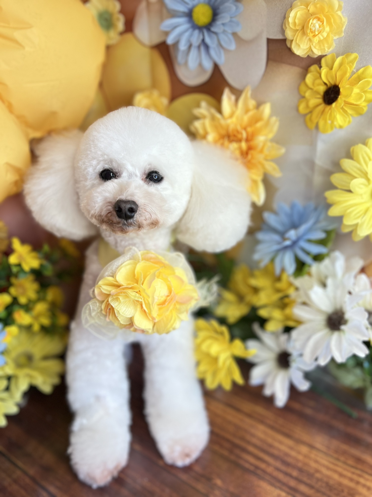 Team jumis world | Jumi’sWorld Blog